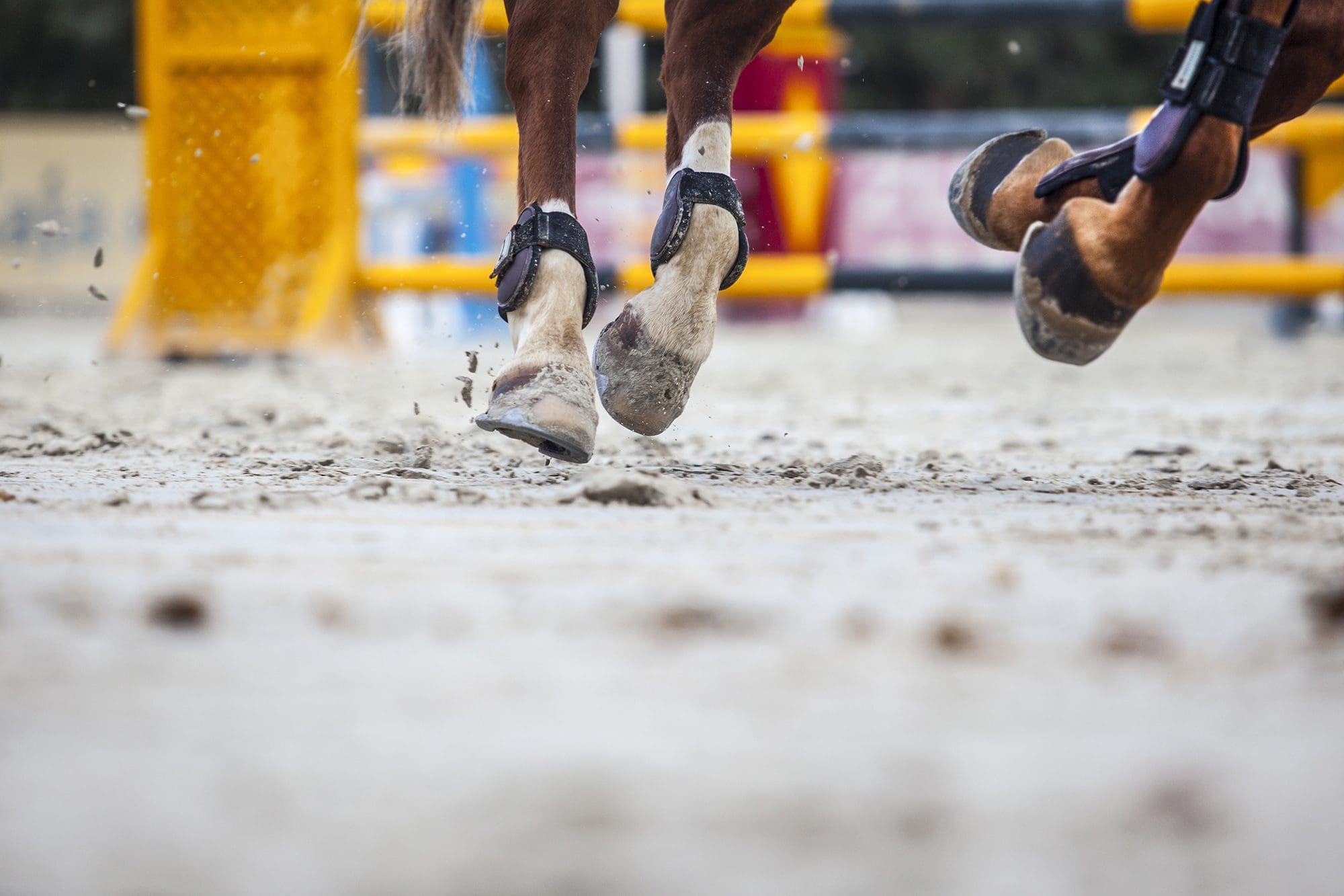 Ask the Rock: What is the Best Sand for My Horse Arena?