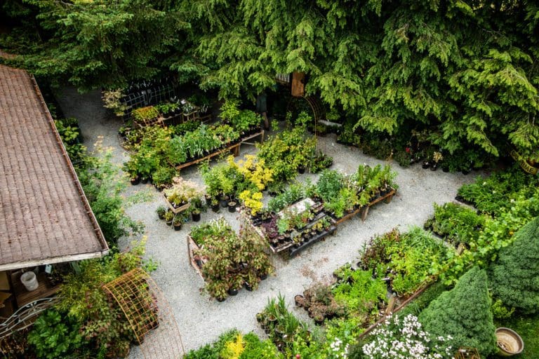 The Not-So-Secret Garden: Old Goat Farm | Washington Rock