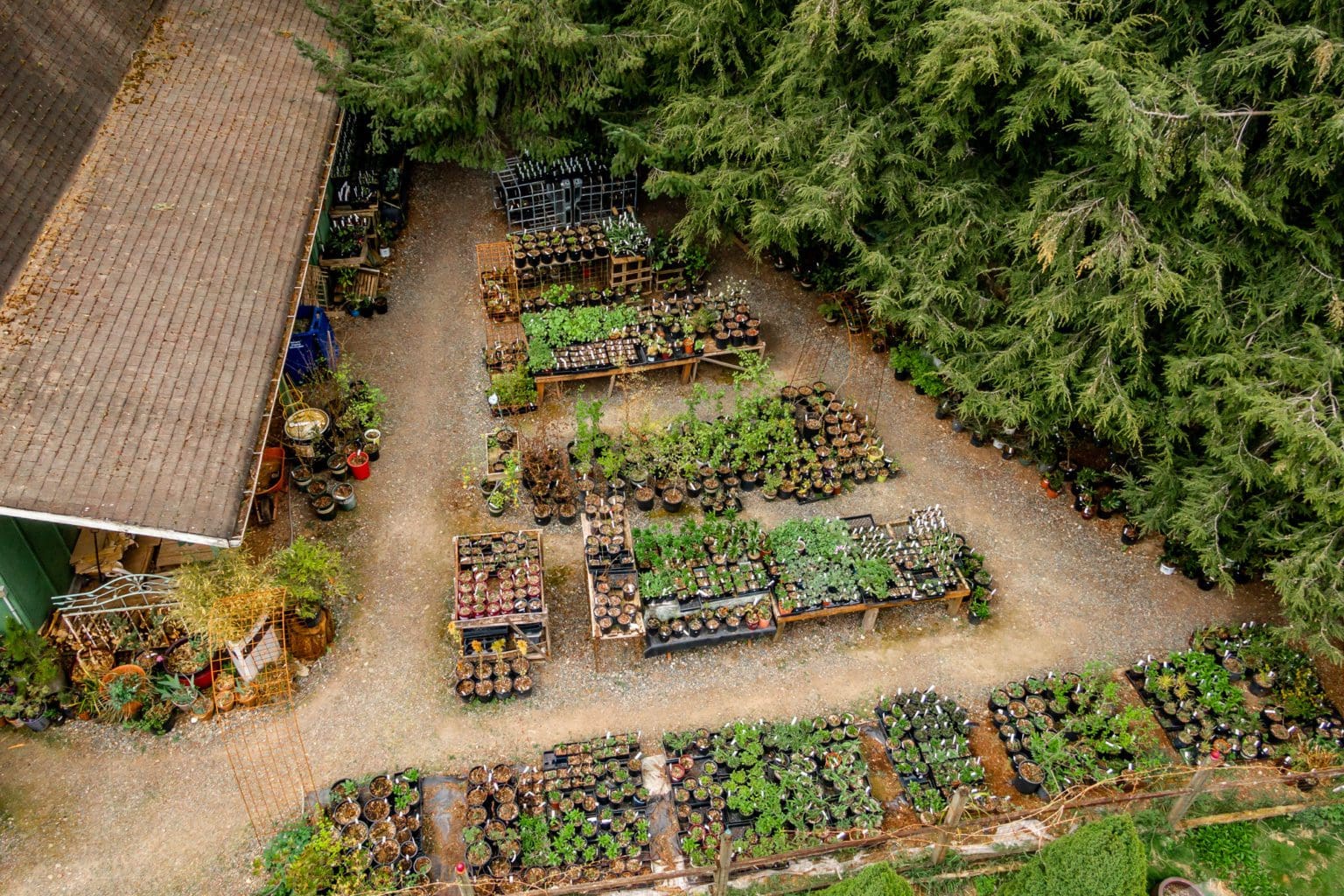 The Not-So-Secret Garden: Old Goat Farm | Washington Rock Quarries