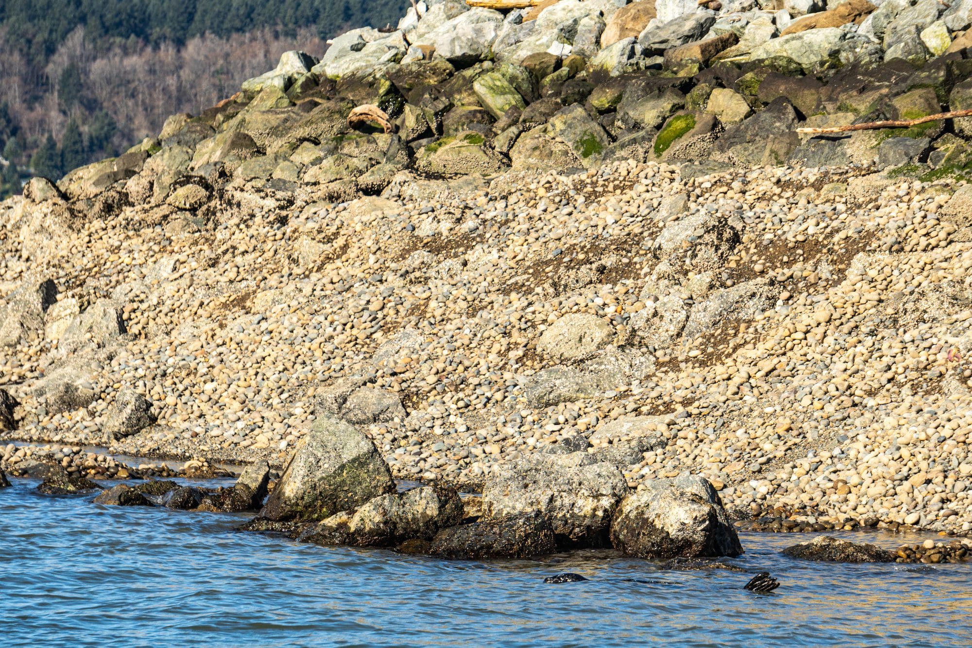 Streambed Sediment for Fish Habitat Restoration