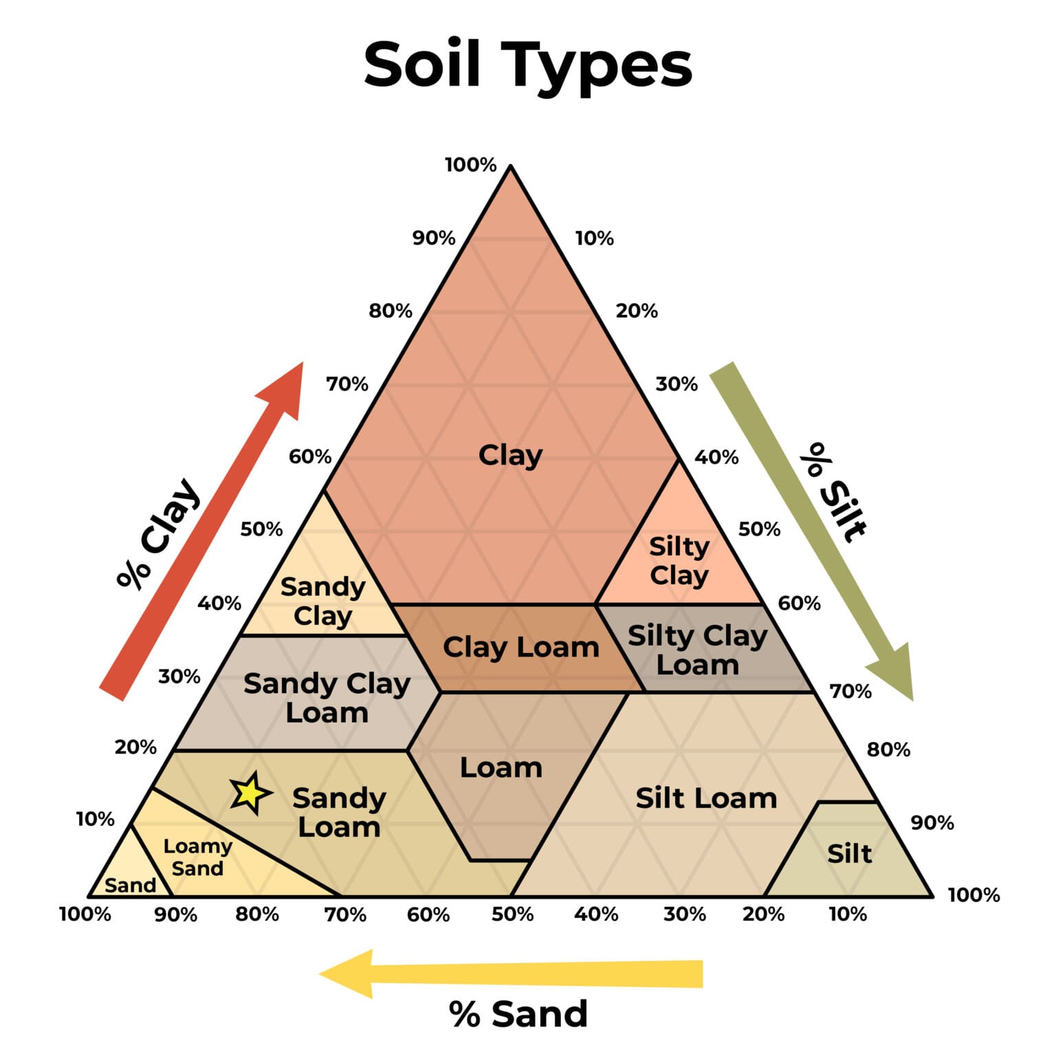 What is Sandy Loam: A Basic Guide to Topsoil Types